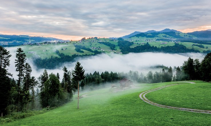 Bregenzerwald | Dornbirn plus Feldkirch Hohenems Bregenzerwald